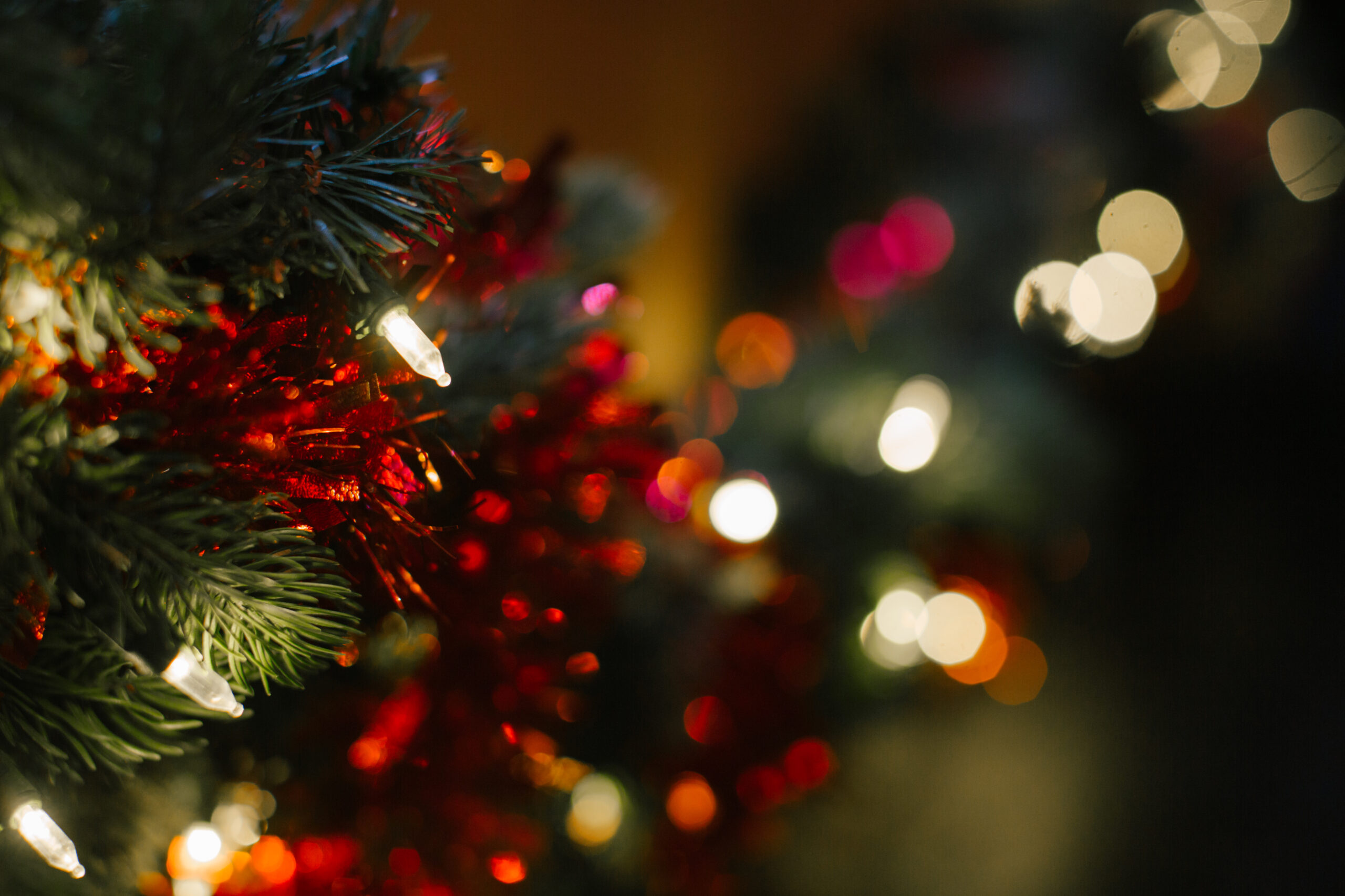 Dramaturgy 101: CSI: Christmas Scene Investigators - Encore Stage & Studio